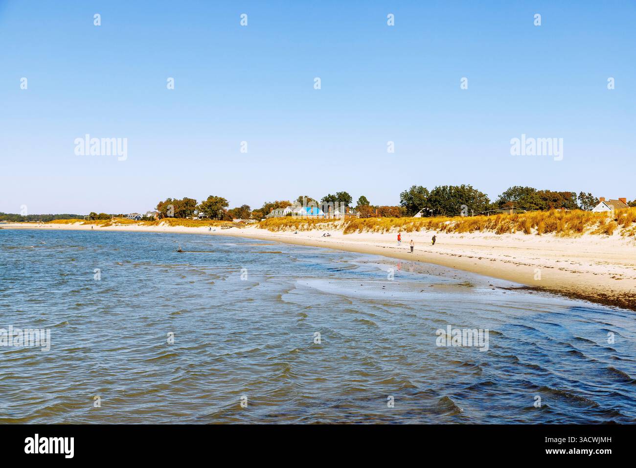 Sandy beach and dunes in Cape Charles on the Delmarva Peninsula ...