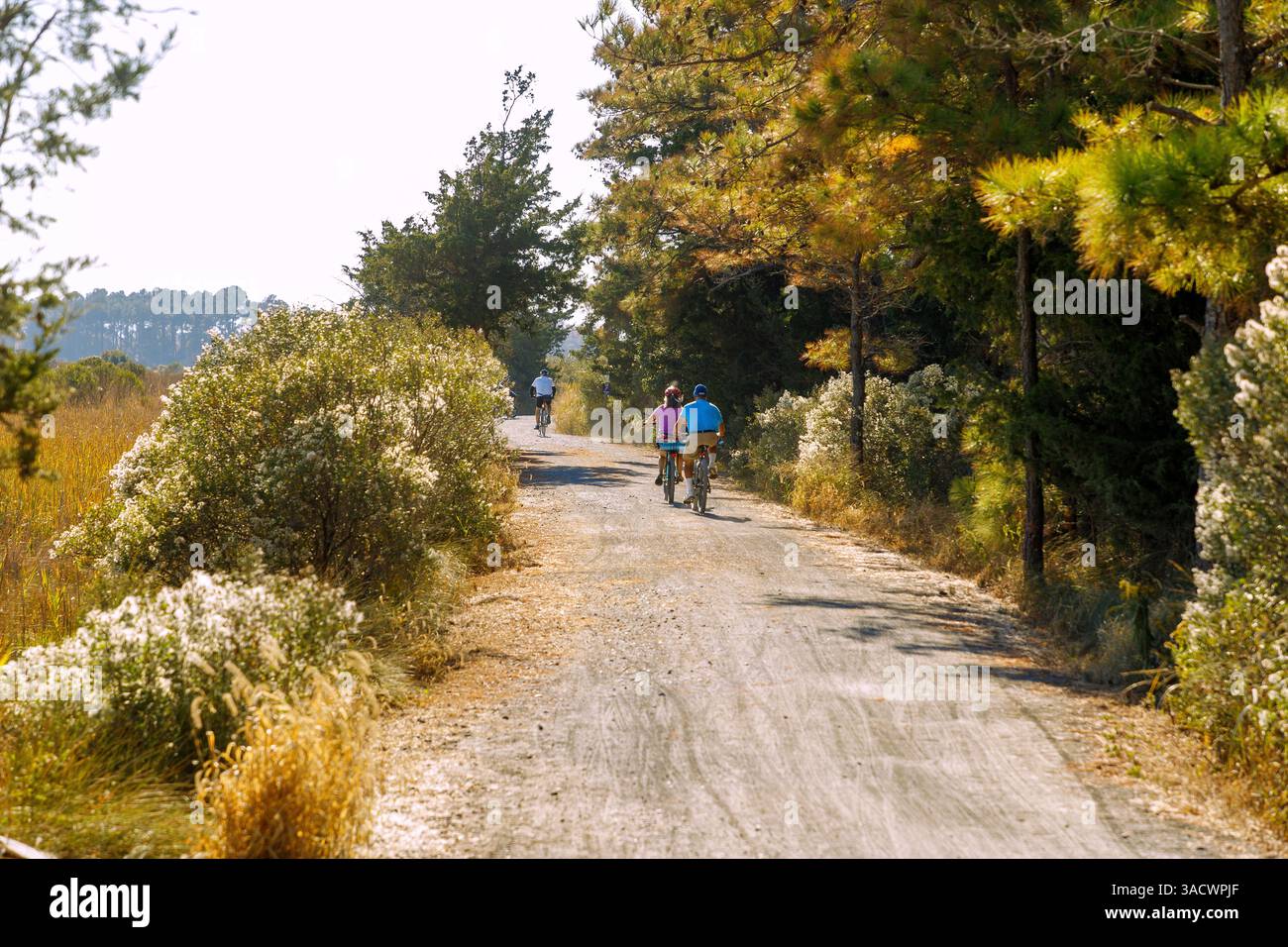 Sussex coastal trail bike hi-res stock photography and images - Alamy