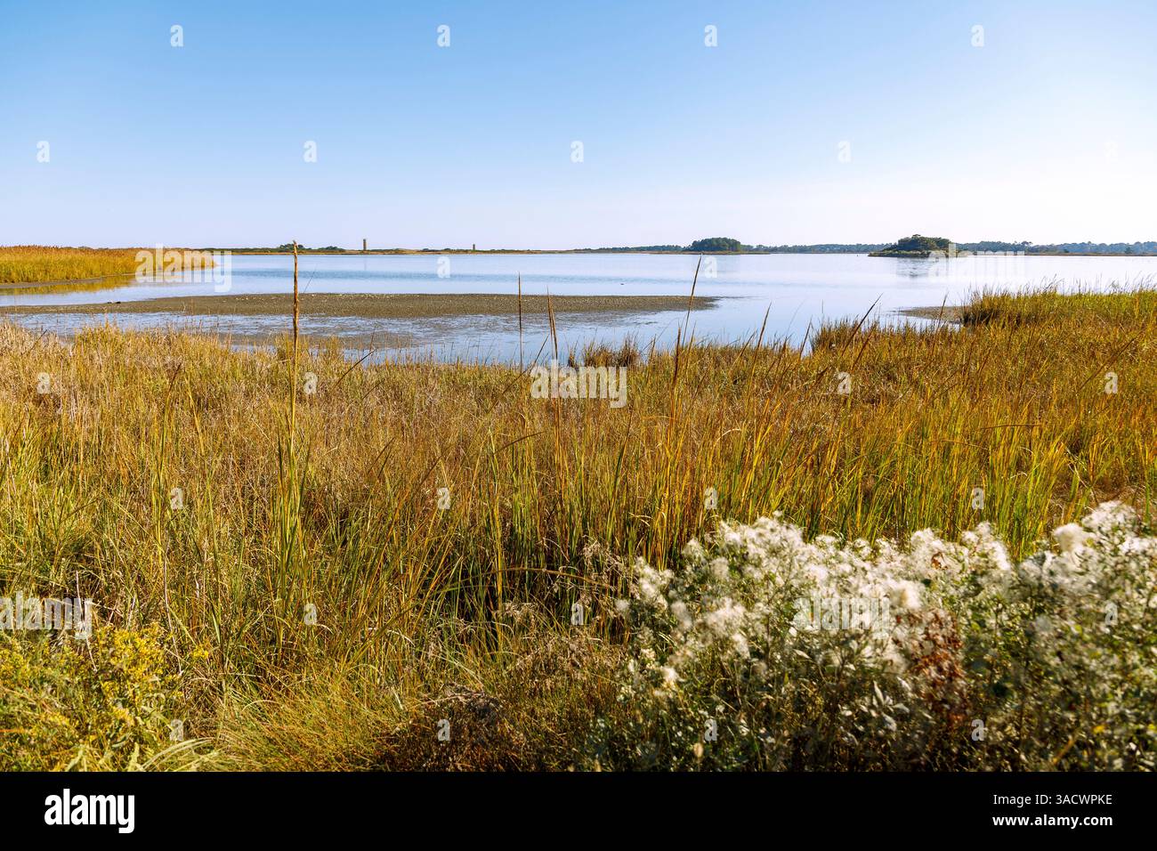 Gordon Pond and view of observation towers WWII Artillery Fire ...