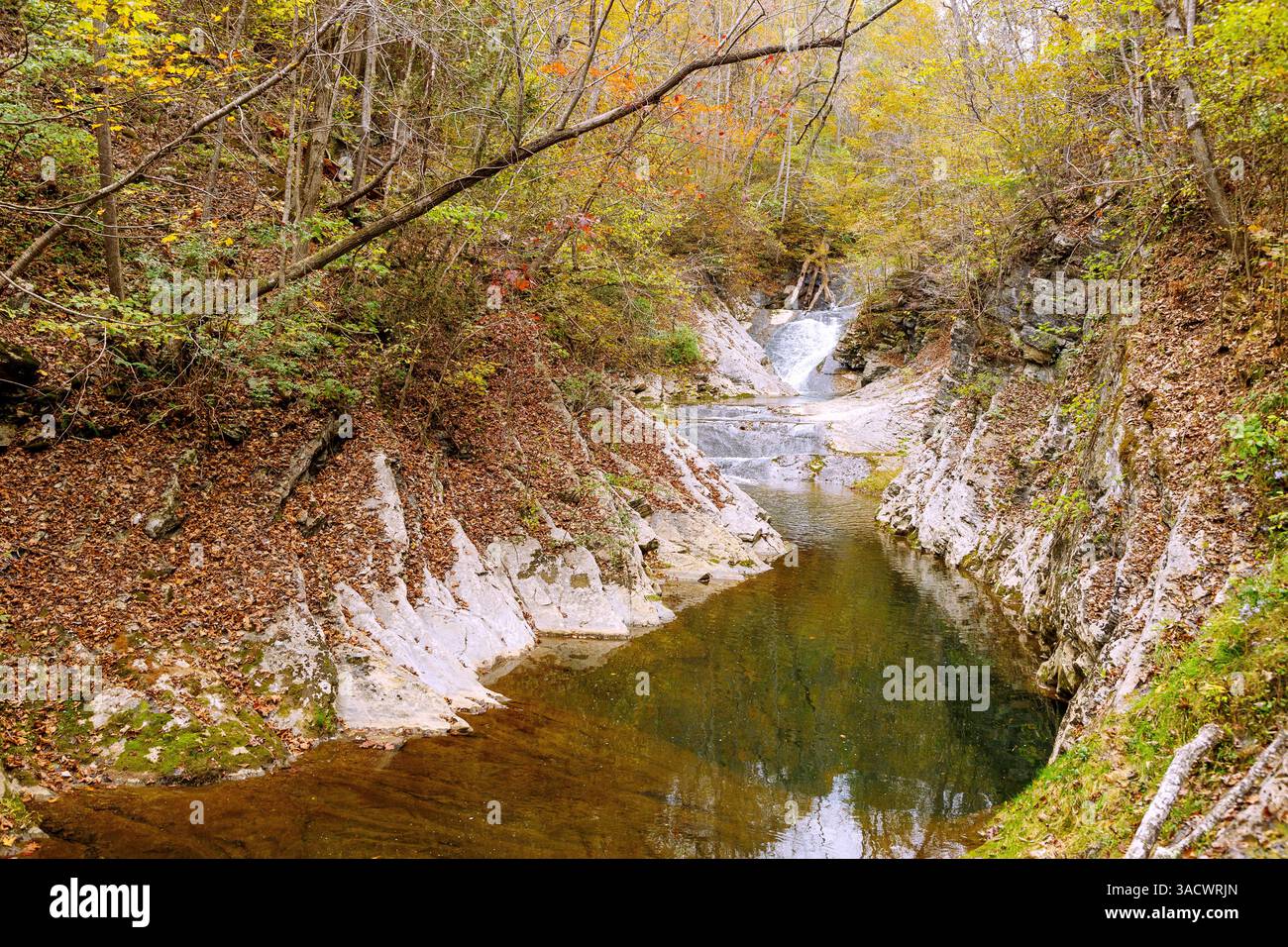 Lace Falls on Cedar Creek in Natural Bridge State Park in Rockbridge ...
