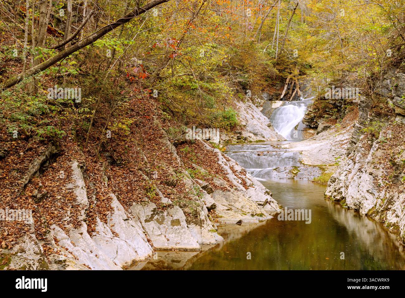 Lace Falls on Cedar Creek in Natural Bridge State Park in Rockbridge ...