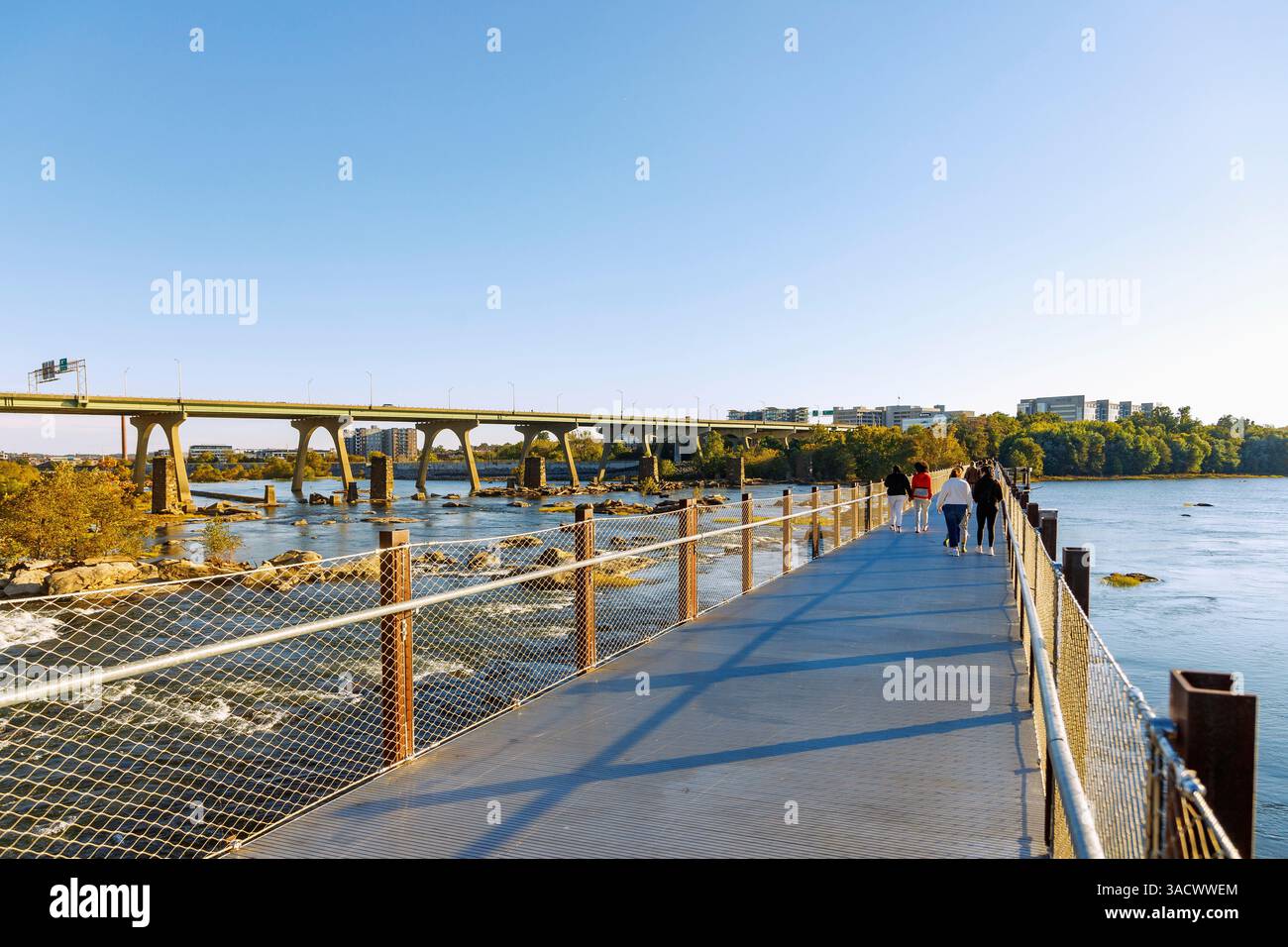 Virginia mayo virginia mayo virginia hi-res stock photography and ...