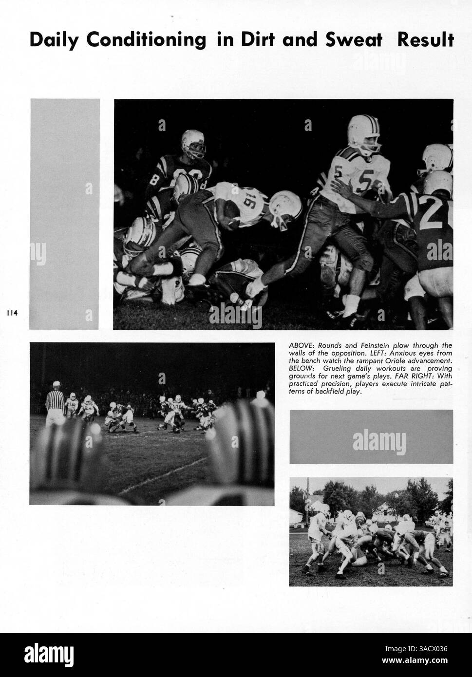 The 1964 'Echowan' yearbook from St. Louis Park High School highlights ...