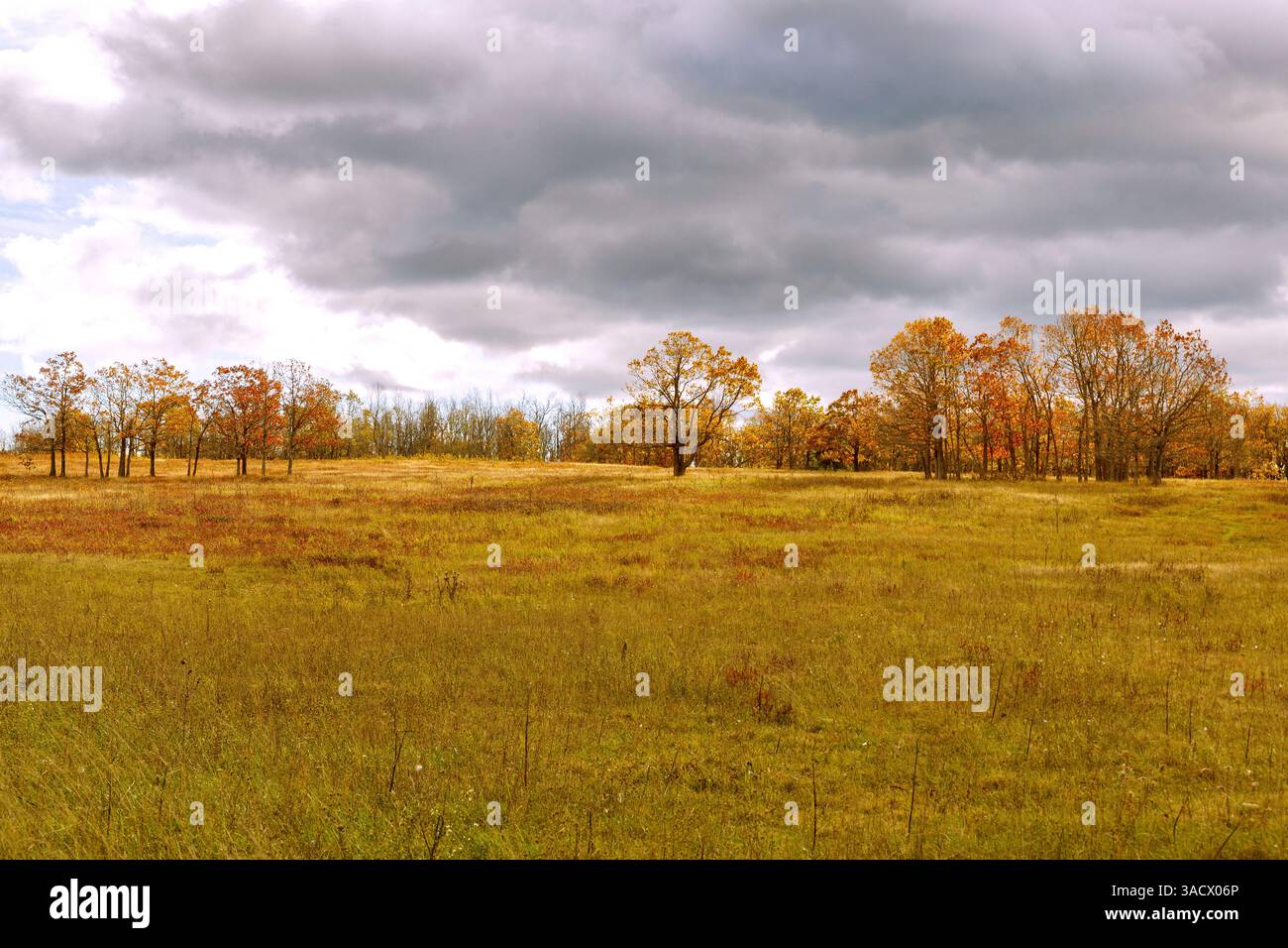 Big Meadows on Skyline Drive in Shenandoah National Park, Virginia, USA ...