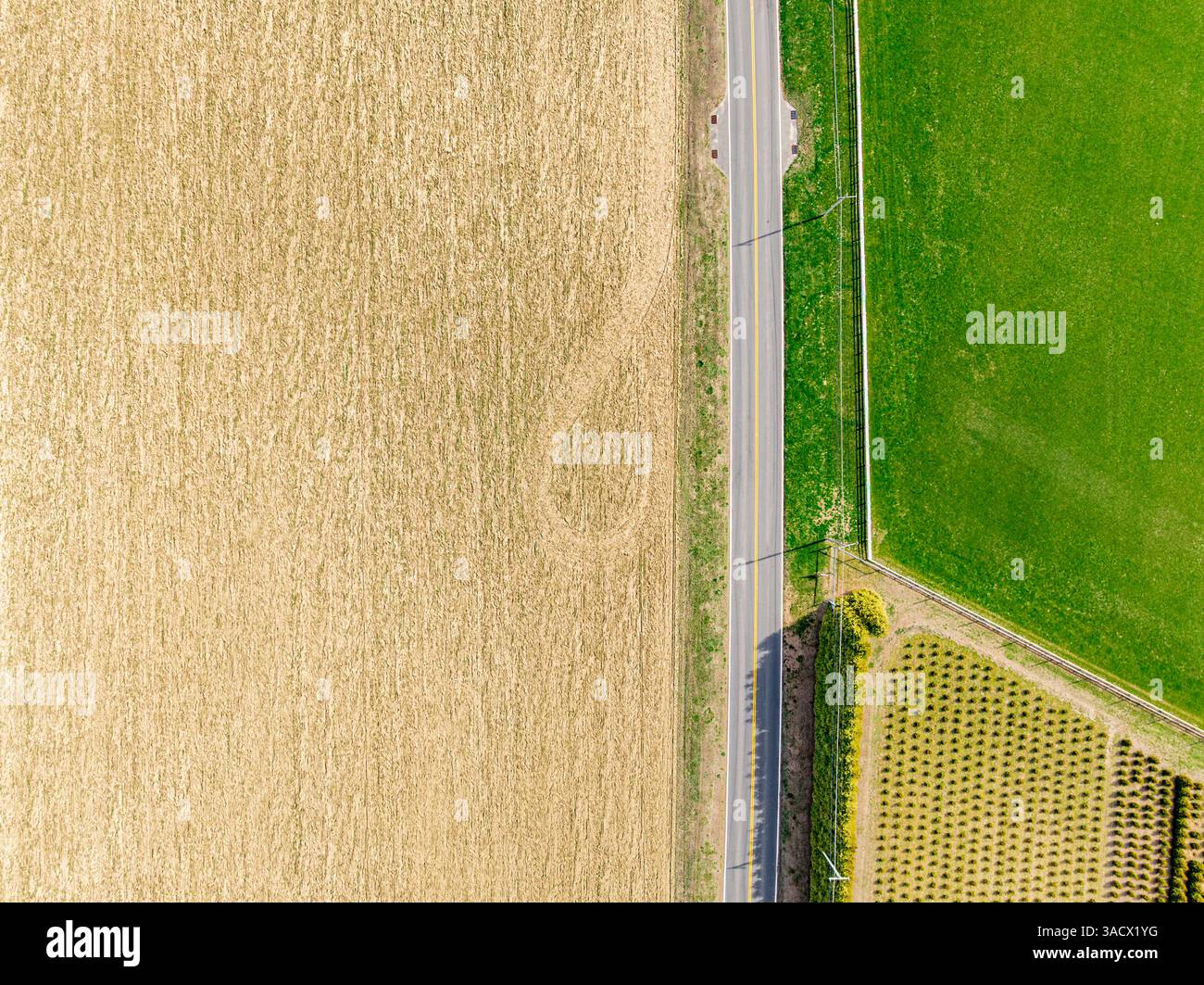 Aerial view planted fields hi-res stock photography and images - Alamy