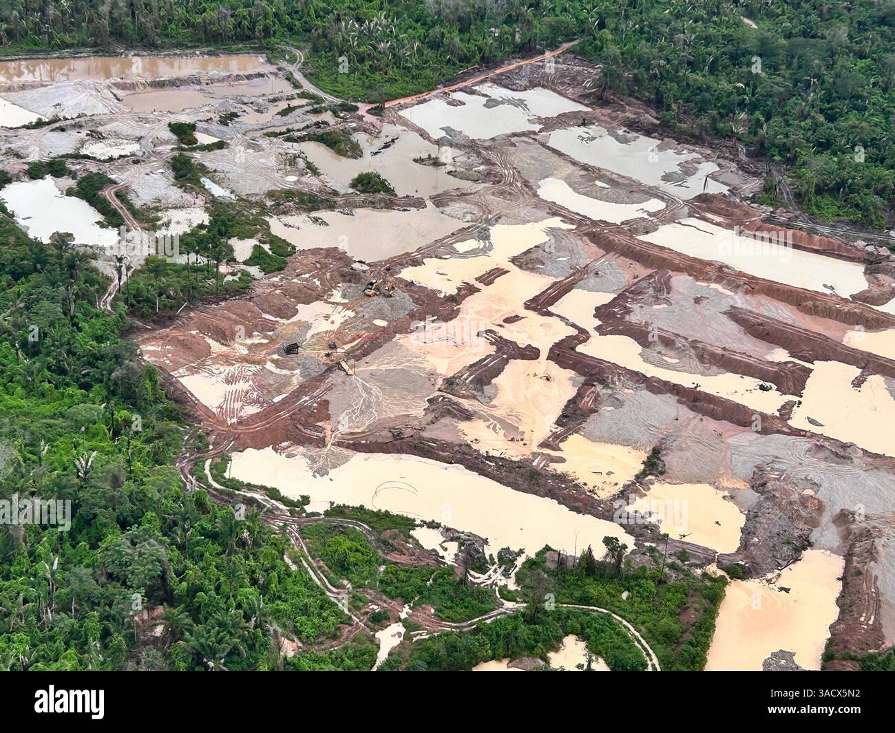 Para, Brazil. 19th Mar, 2025. Aerial view of deforested areas and ...