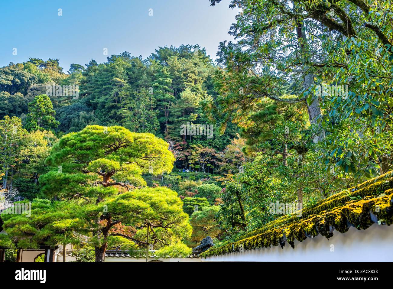 Colorful foliage,, Ginkakuji (Silver Pavilion), Kyoto, Japan. Also ...