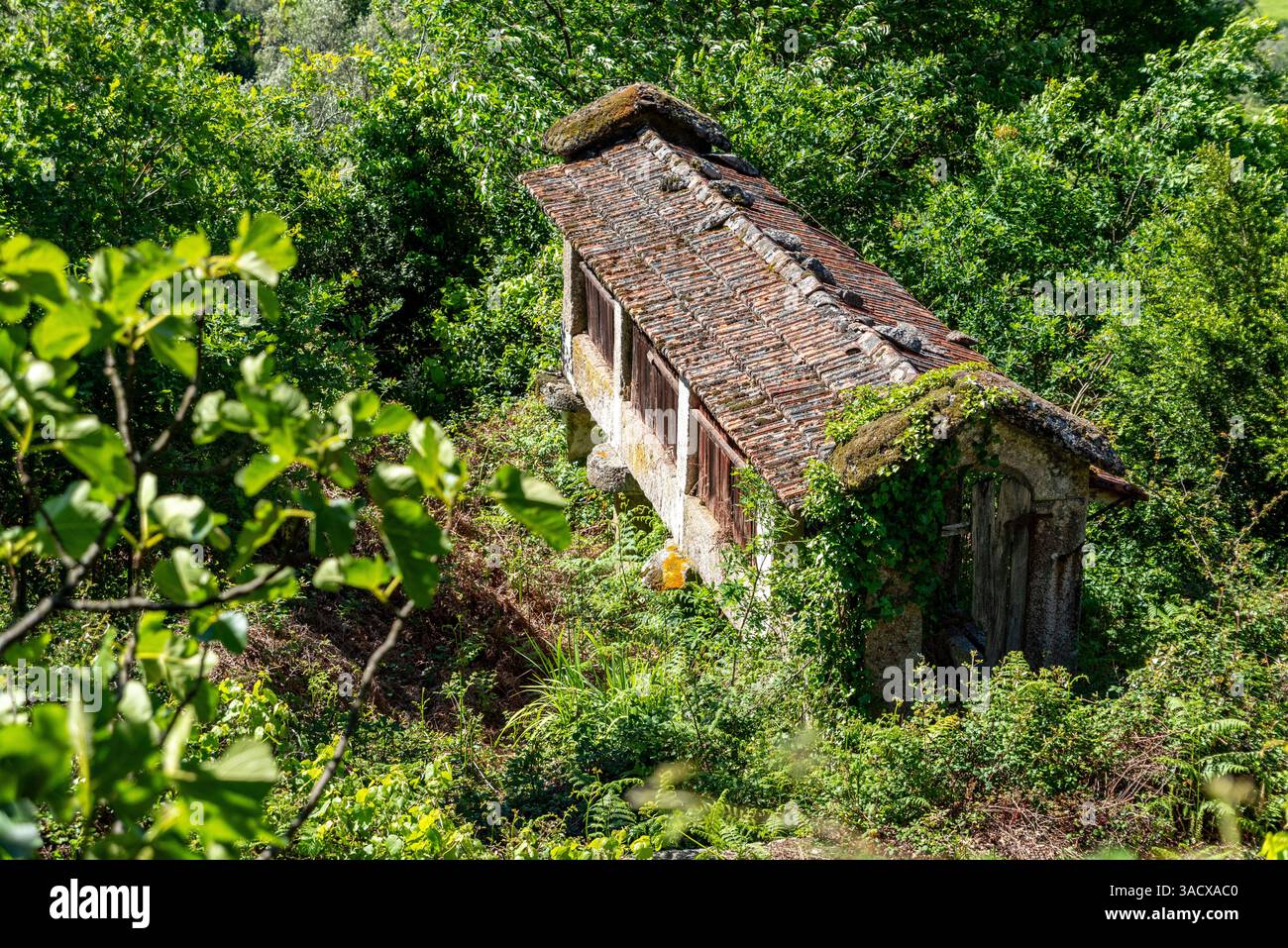 Peaceful park setting in hi-res stock photography and images - Alamy