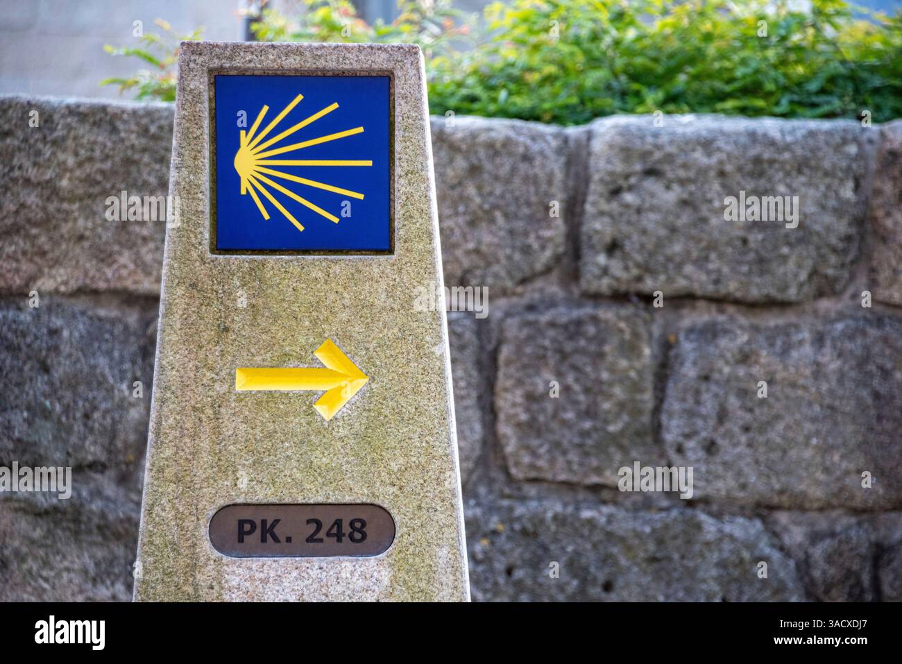 Typical waymark showing the direction of the way of Saint James to the ...