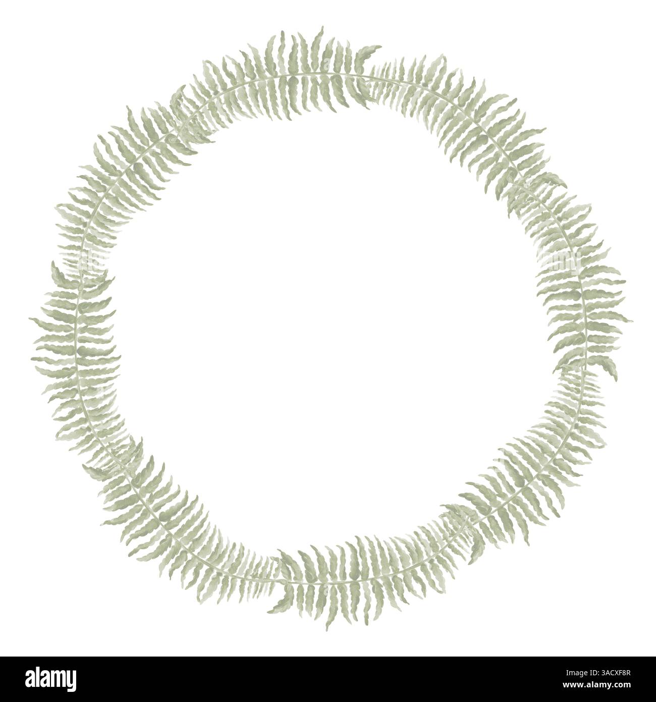 Wreath of fern leaves. Large carved leaves. Round composition of herbs ...
