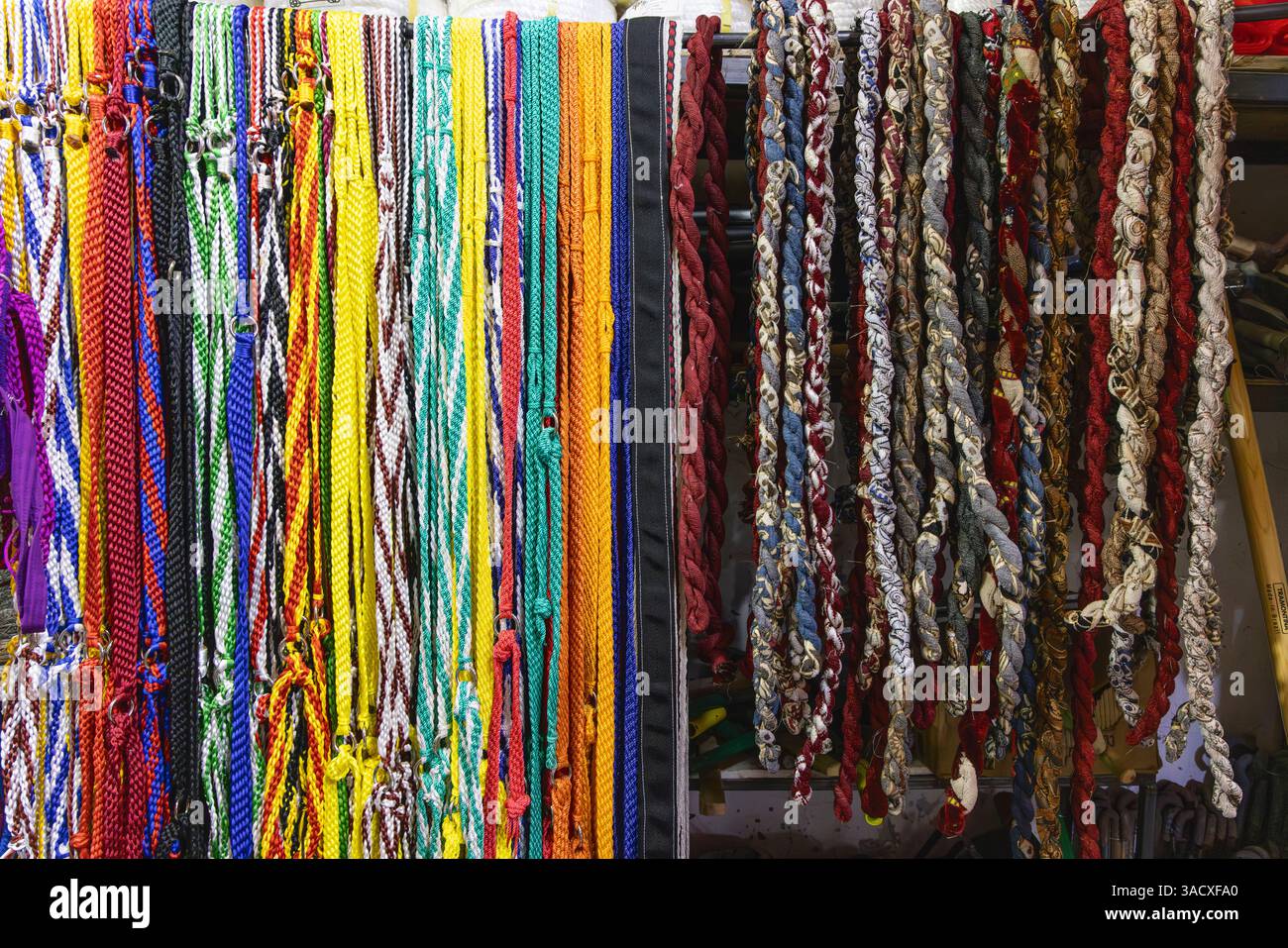 Saudi Arabia, Tabuk. Bridle ropes for sale at the market Stock Photo ...