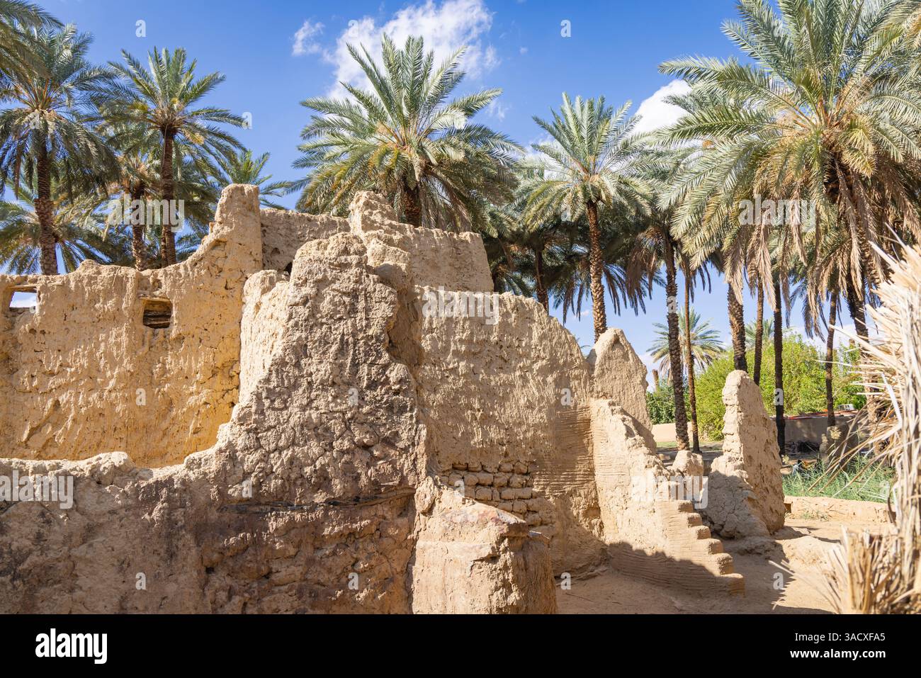 Saudi Arabia, Tabuk Province, Tayma. Date palms at a desert oasis Stock ...