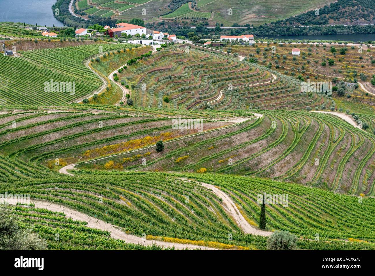 Agriculture in portugal hi-res stock photography and images - Alamy