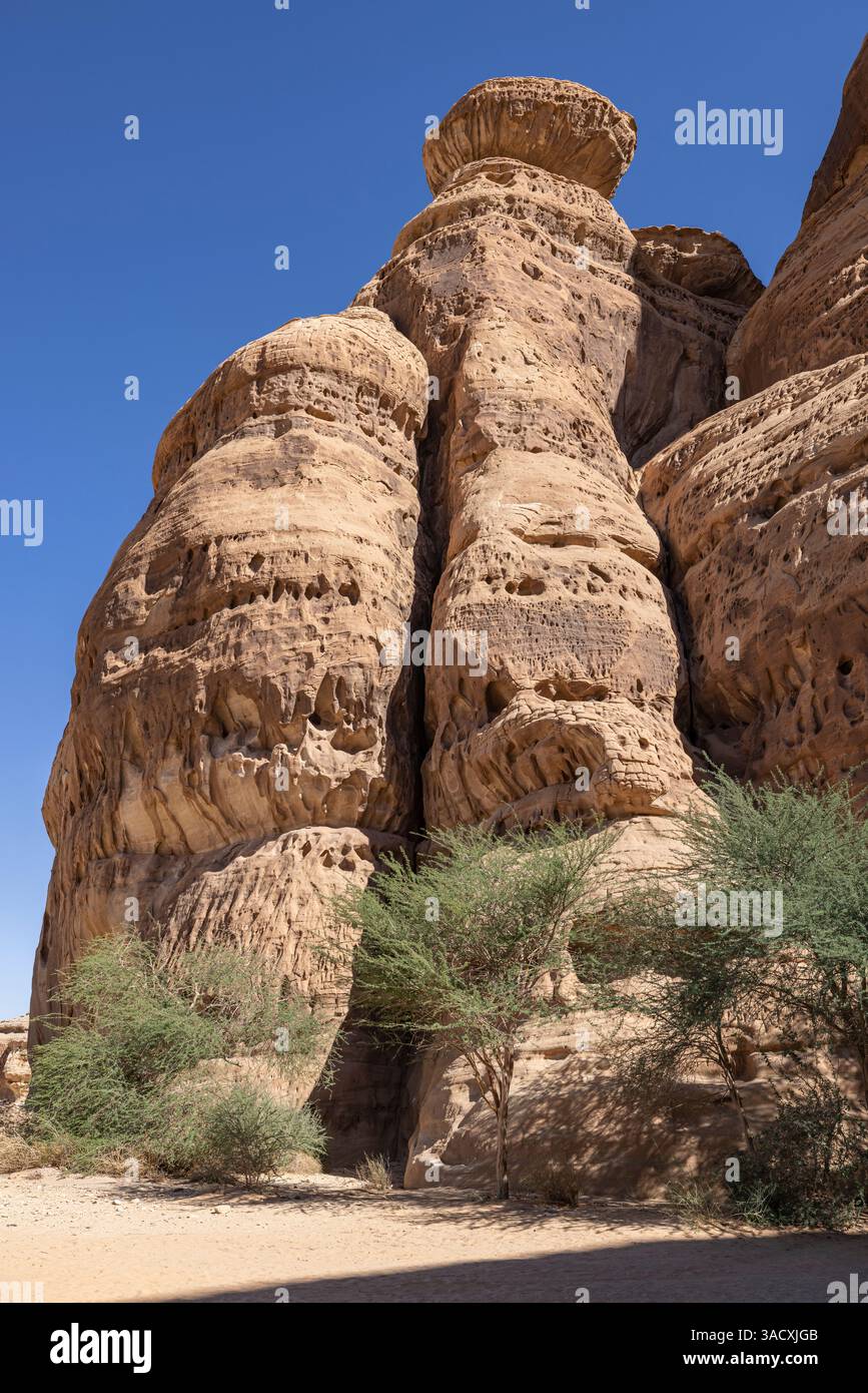 Saudi Arabia, Medina, Al-Ula, Hegra. Desert rock formations at the ...