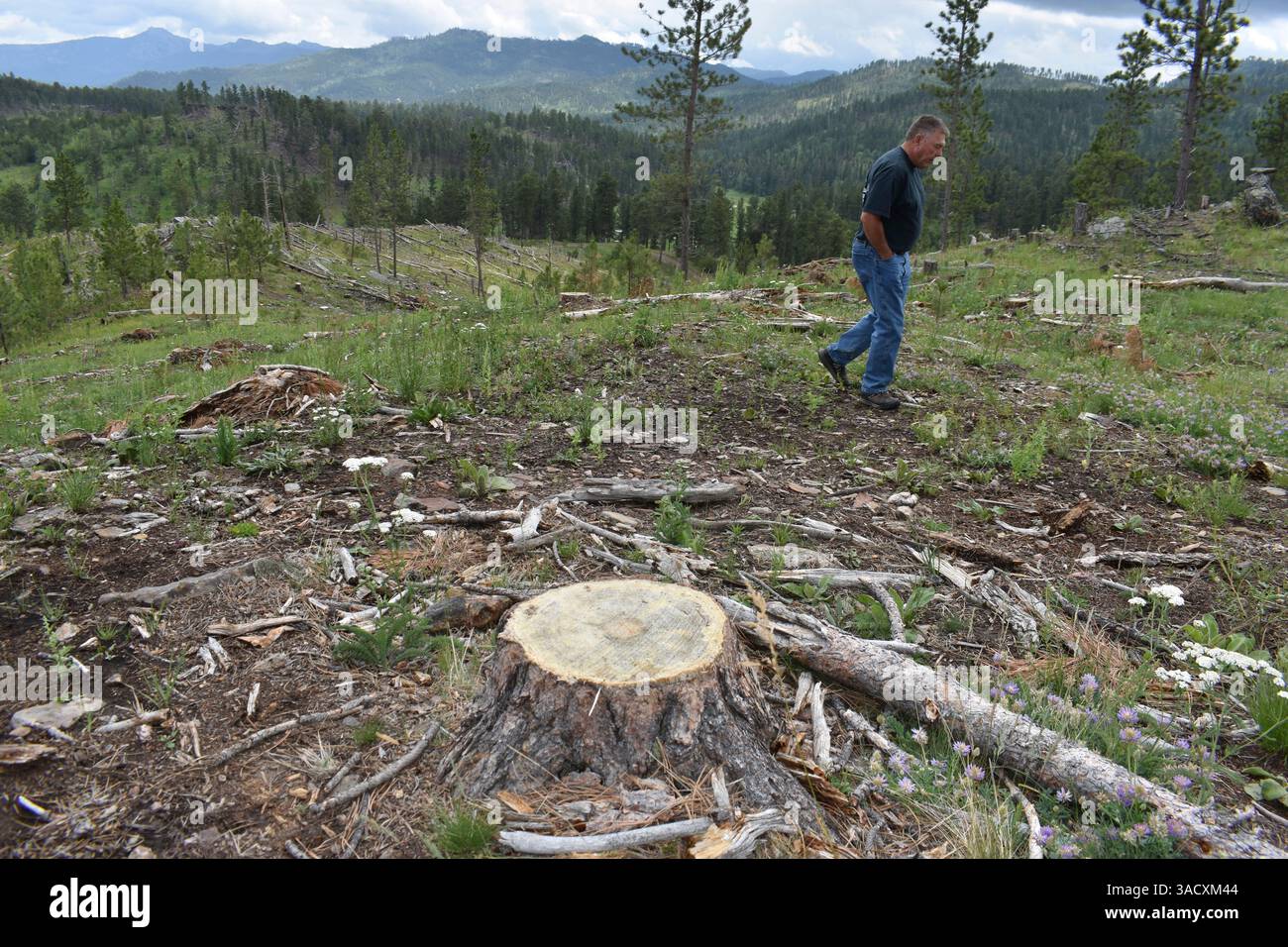 Blaine Cook, a retired U.S. Forest Service forest management scientist ...