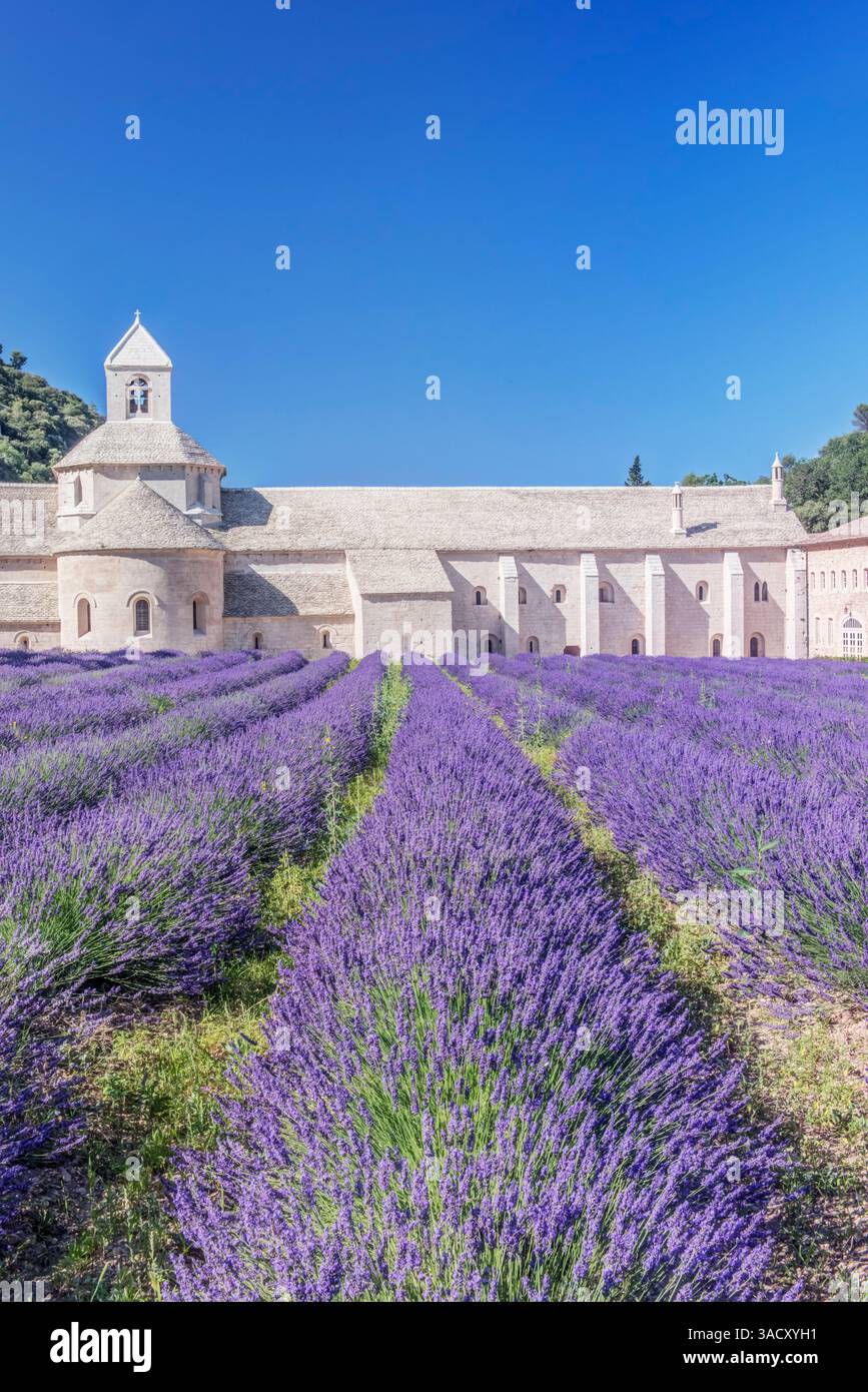 France, Provence, Gordes. Abbey of Our Lady of Senanque (Abbey Notre ...