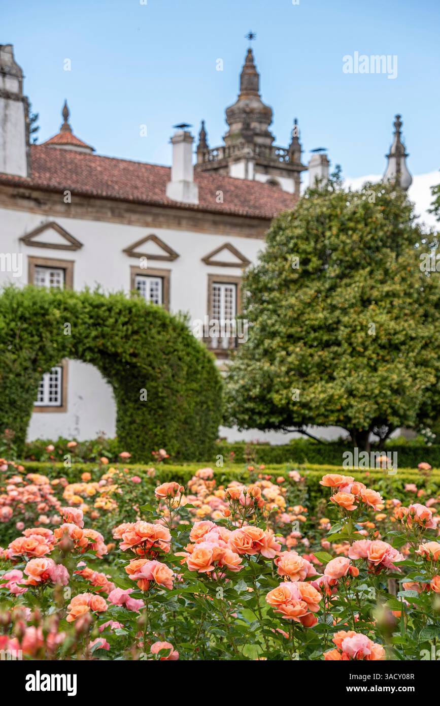 Villa Real, Portugal, Roses in the park of the Mateus palace, Portugal ...
