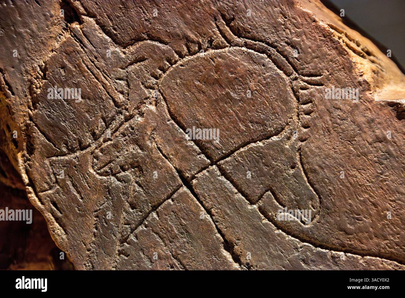 Villa Nova de Foz Coa, Portugal, Copies of the famous prehistoric ...