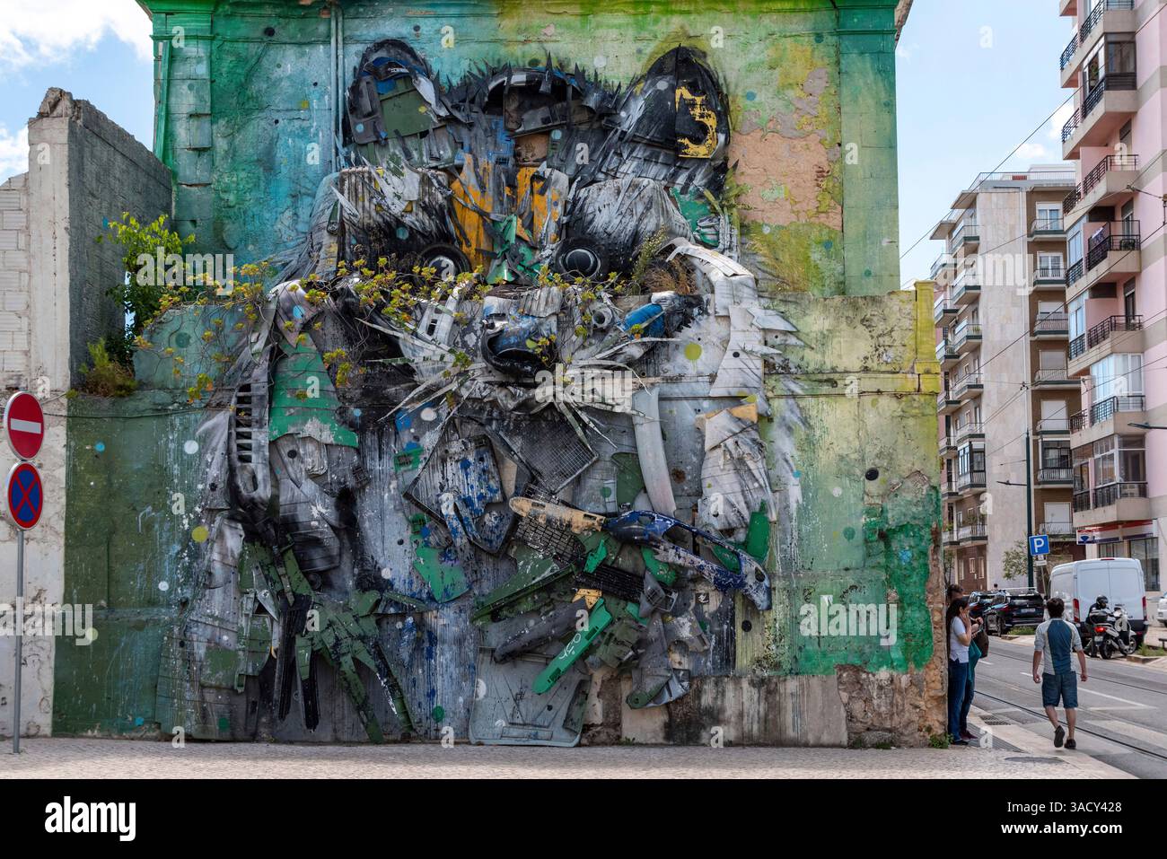 Beautiful big raccoon hi-res stock photography and images - Alamy