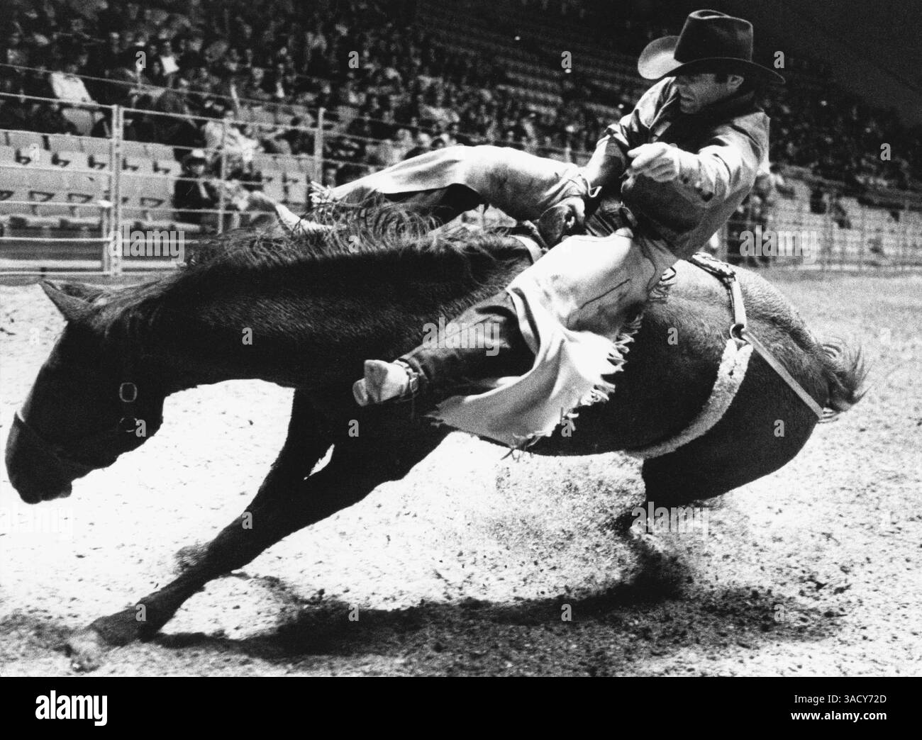 Bareback riding competition Black and White Stock Photos & Images - Alamy
