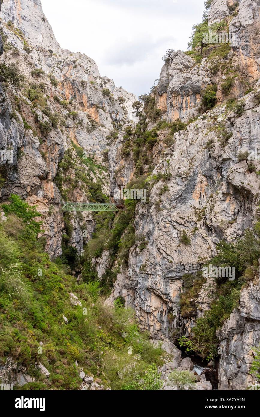 Magnificent landscape of the Cares gorge in the Picos de Europa ...