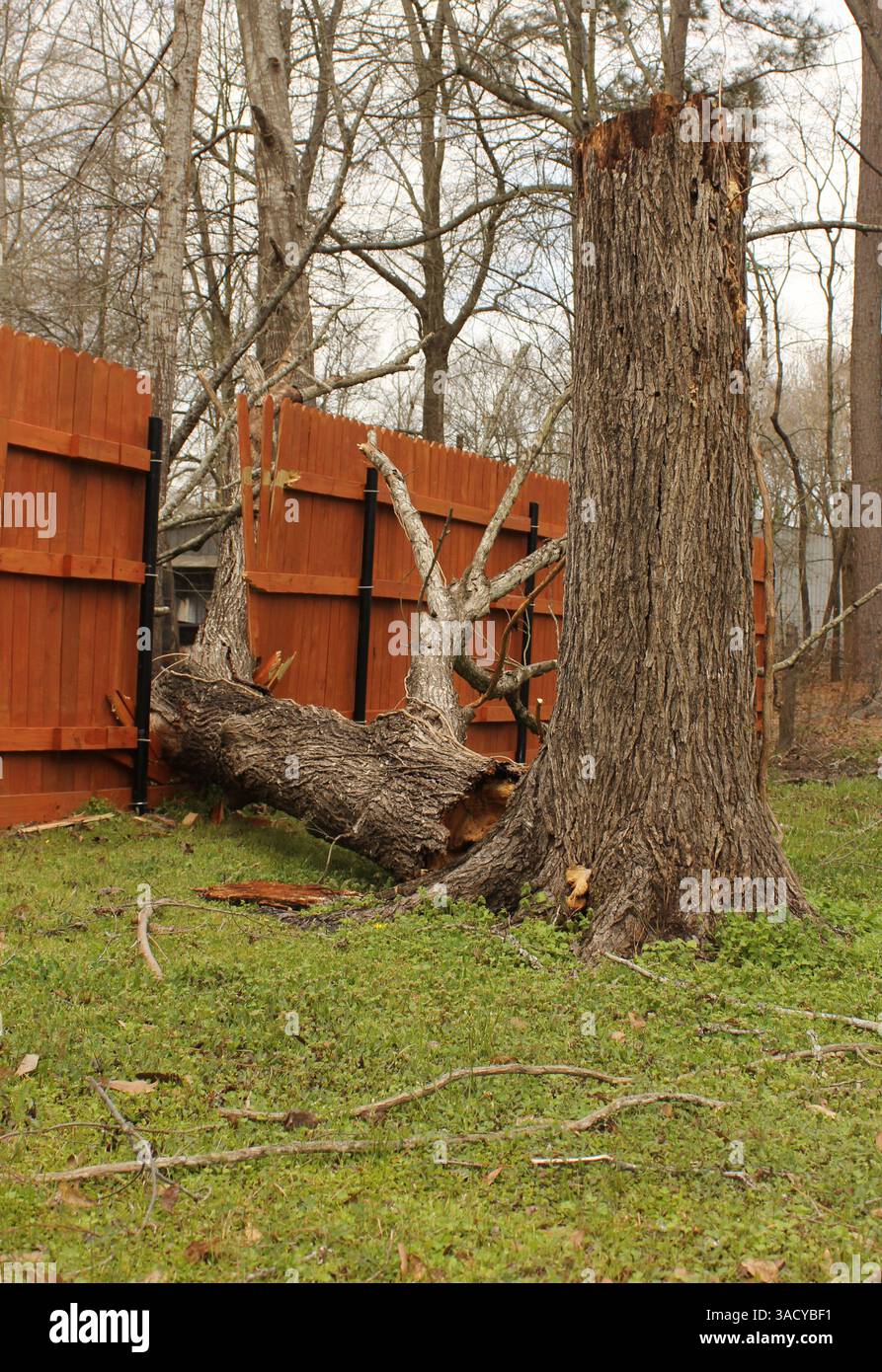 Fence Damaged From Tree Falling During Rain Storm Stock Photo - Alamy