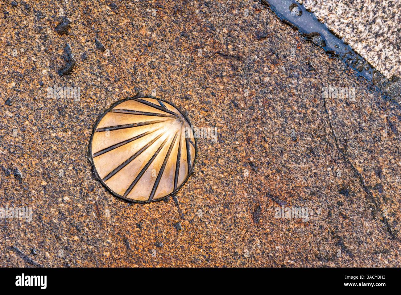 Bronze pilgrim shell embedded in a stone path marking the Camino de ...