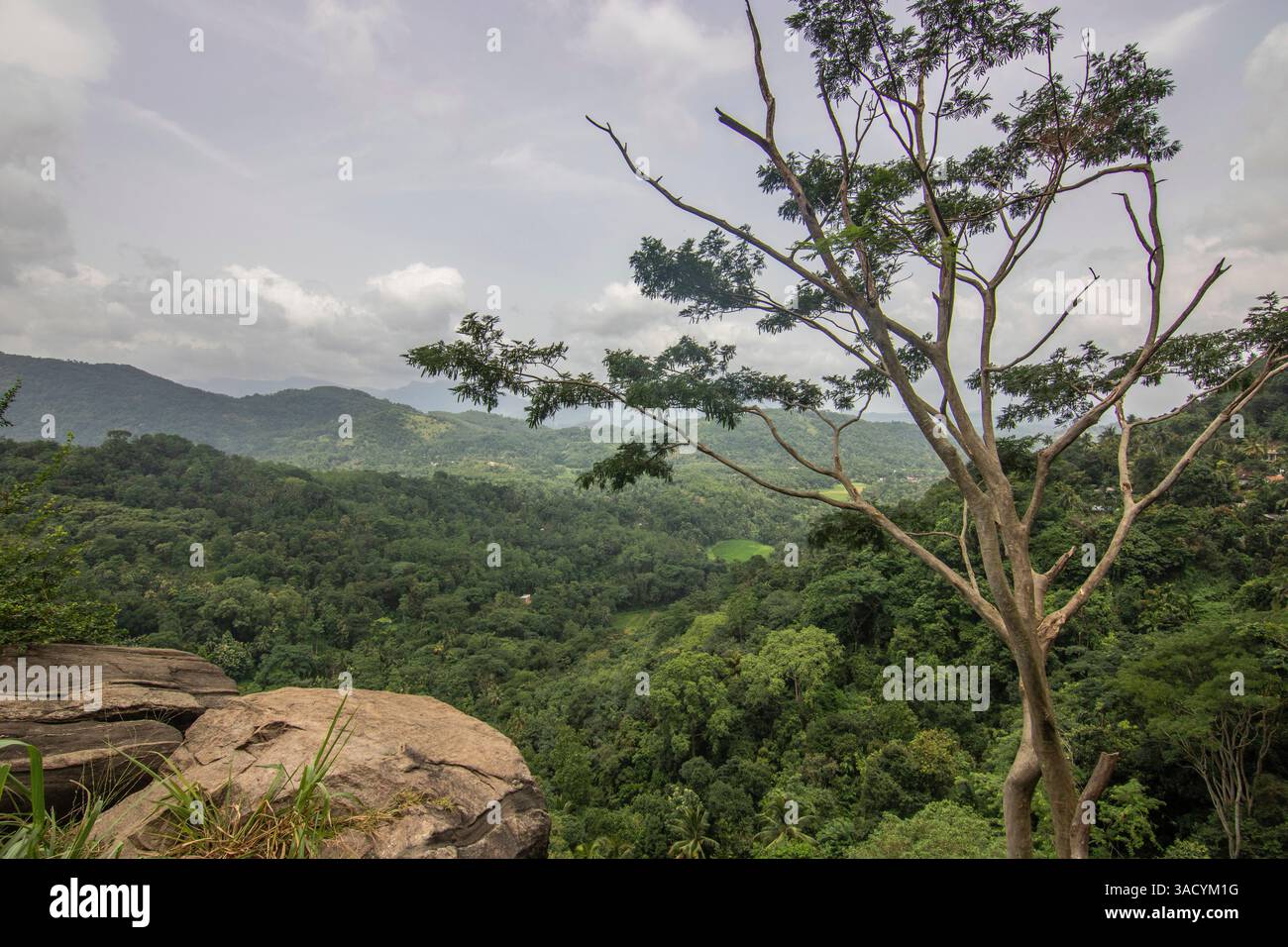 Landscape photography in the fertile highlands in a subtropical climate ...