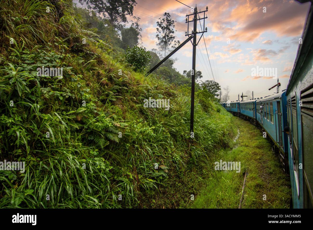 Landscape photography in the fertile highlands in a subtropical climate ...