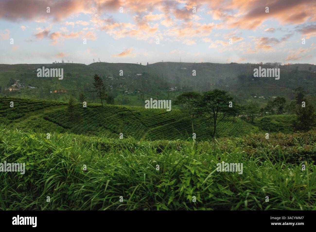 Landscape photography in the fertile highlands in a subtropical climate ...