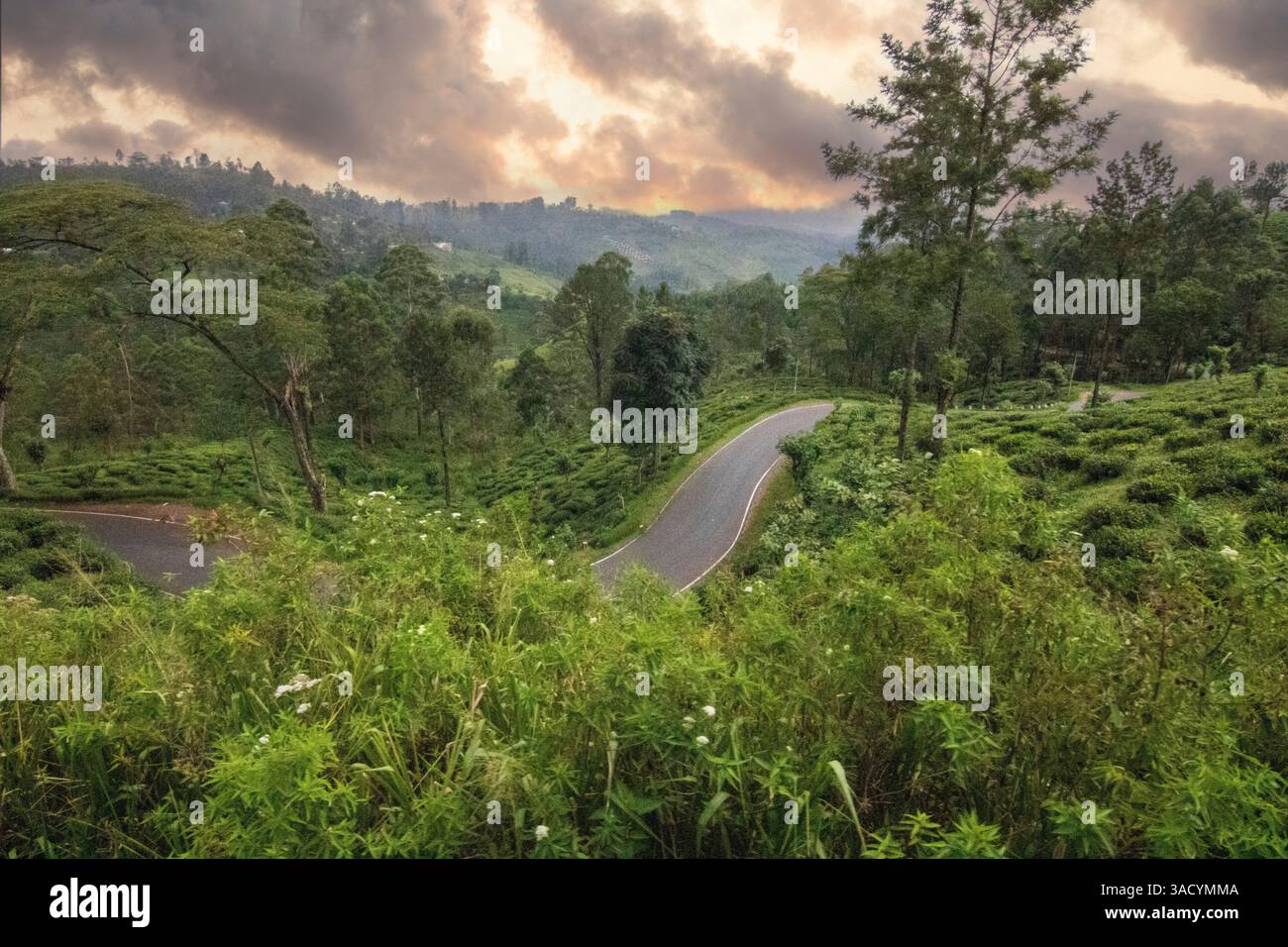 Landscape photography in the fertile highlands in a subtropical climate ...