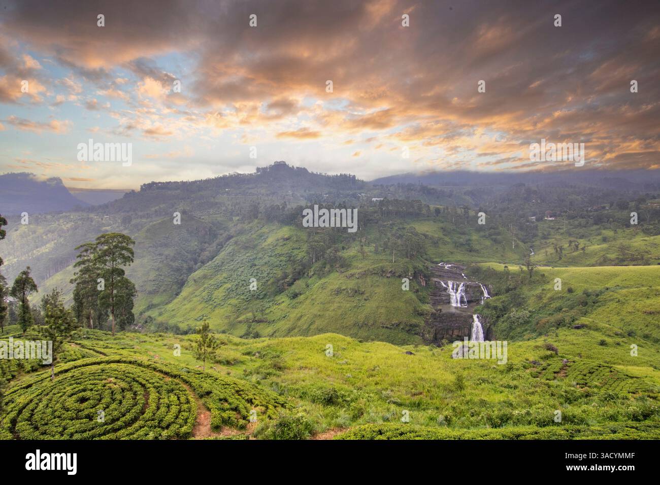 Waterfalls in the highlands, jungle, fields and tea plantations ...