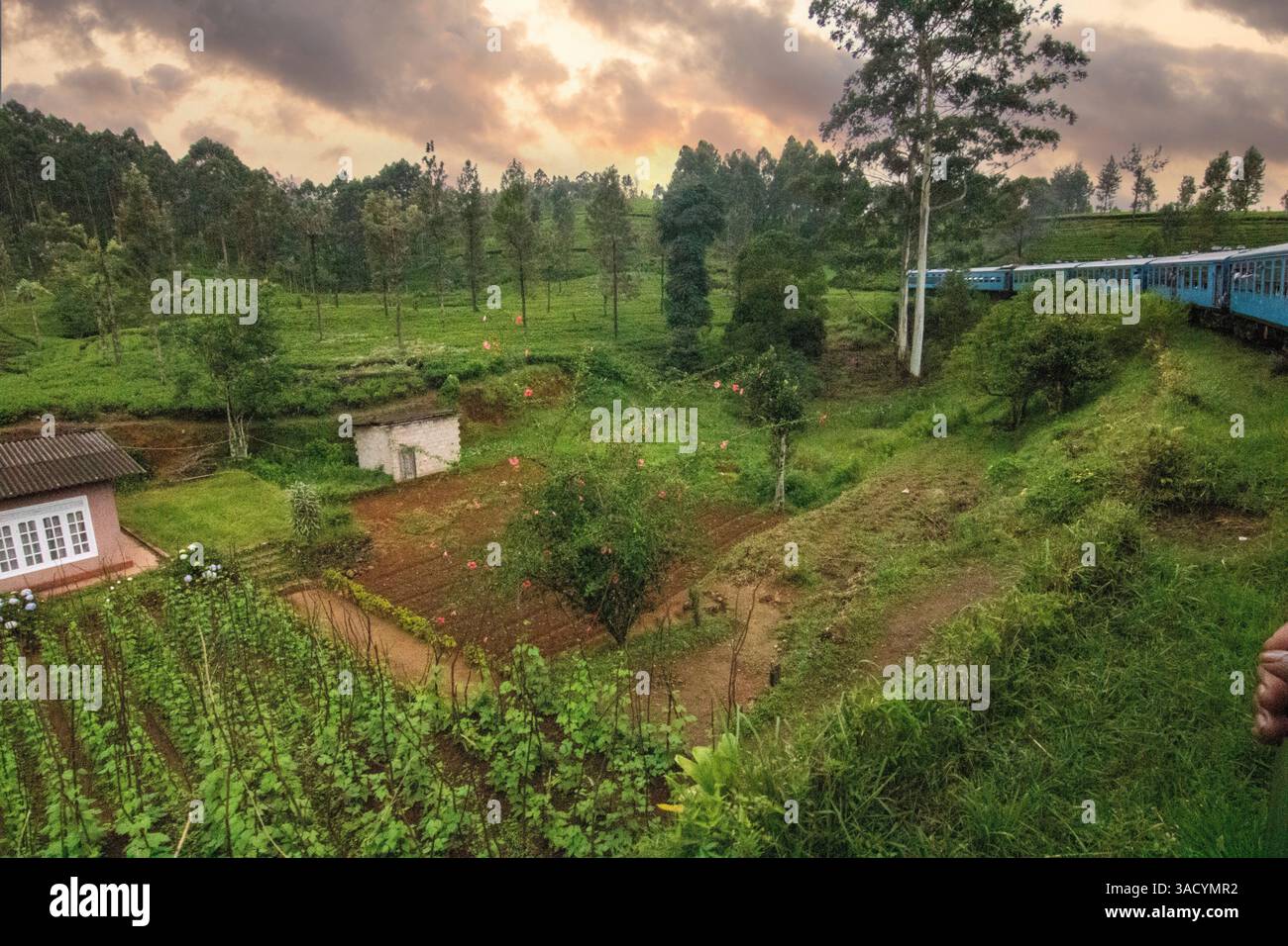 Landscape photography in the fertile highlands in a subtropical climate ...
