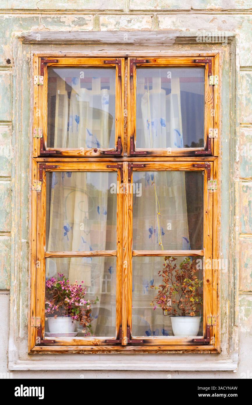 Romania, Bucharest. Window with flowering plants Stock Photo - Alamy