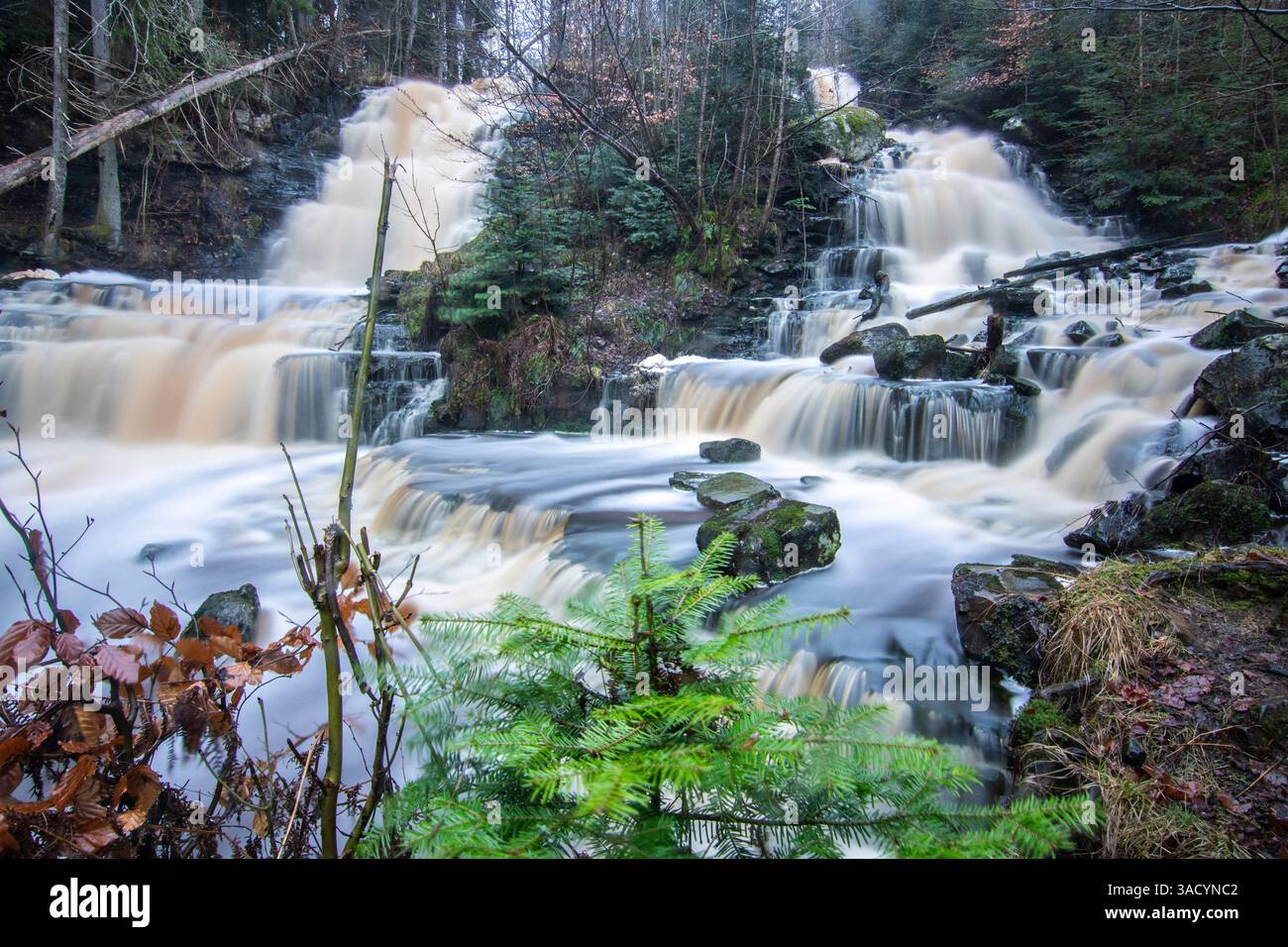 Landscape shot of a large waterfall in spruce and birch forest and ...