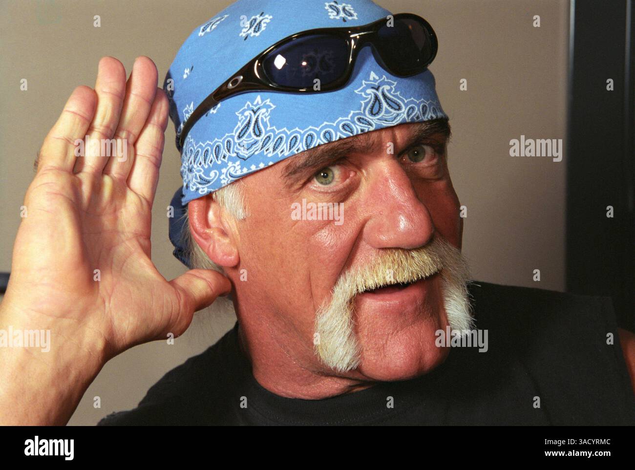 American wrestler hulk hogan terry gene bollea hi-res stock photography ...