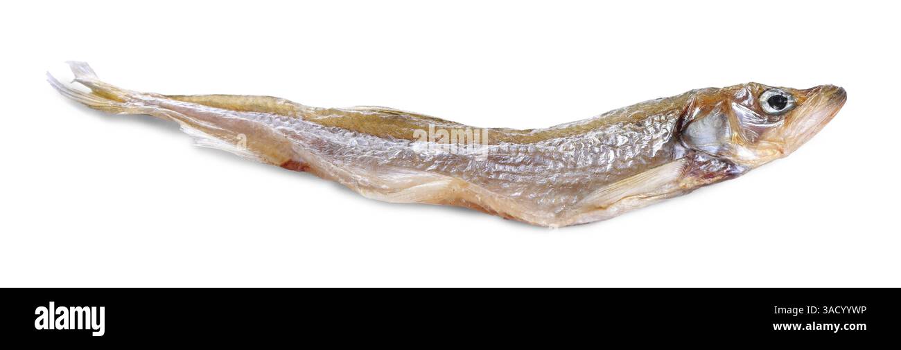 Dried salted smelt fish isolated on white Stock Photo - Alamy