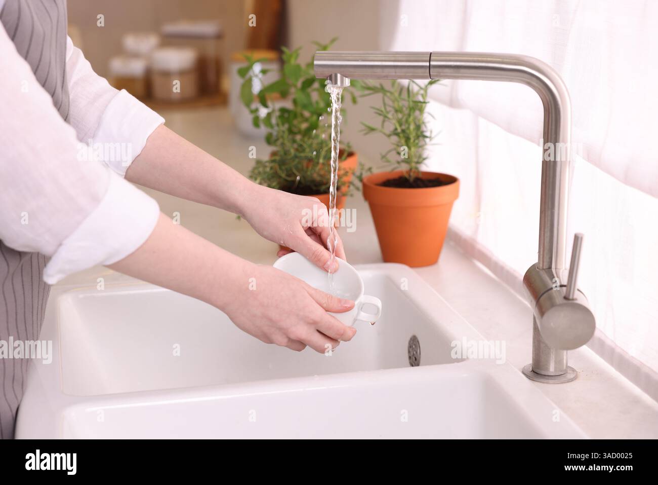 Woman washing plant leaves home hi-res stock photography and images - Alamy