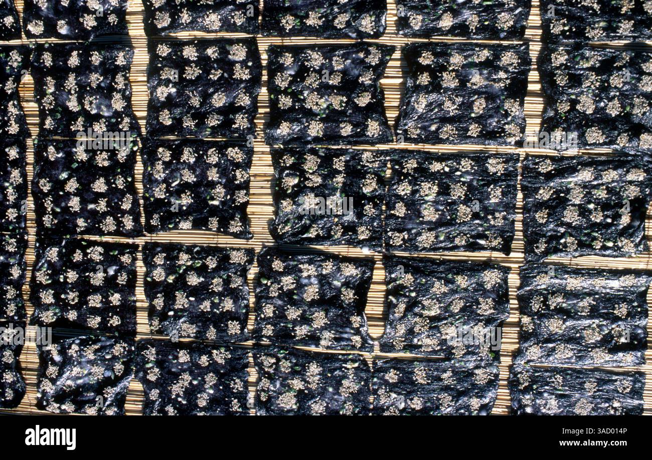 Nov 12, 2002; Koje Island, SOUTH KOREA; Koje Island, which is located ...