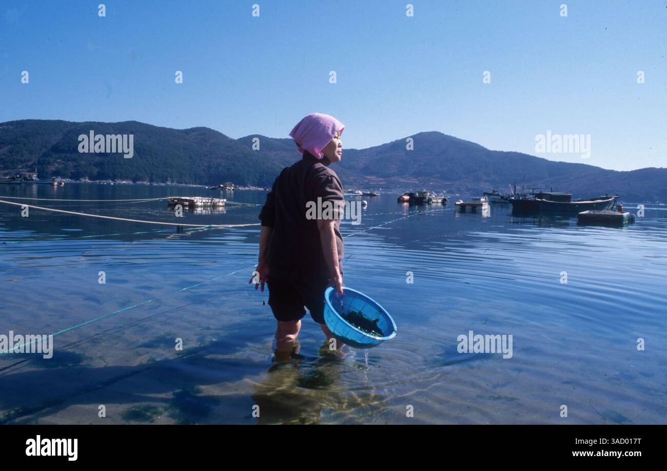 Nov 12, 2002; Koje Island, SOUTH KOREA; Koje Island, which is located ...