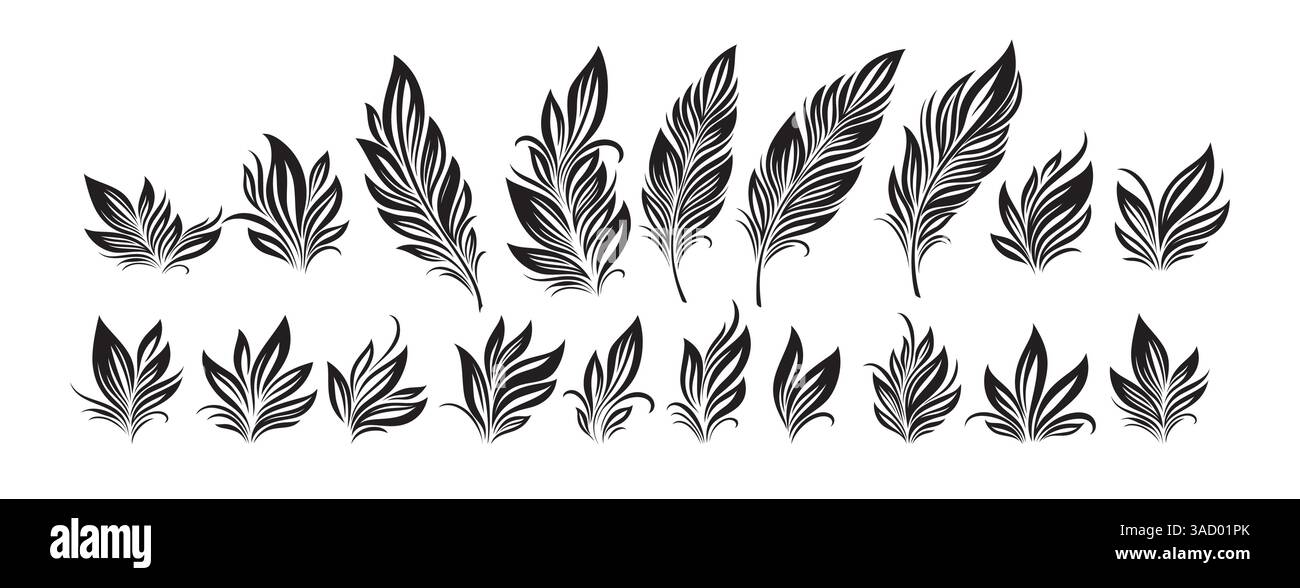 Set of Intricately Designed Black Feather Motifs in Various Styles and ...
