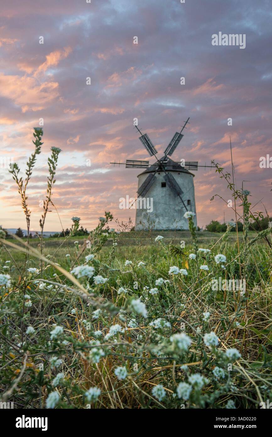 Windmill with wooden blades in a landscape with fields. Meadows and ...