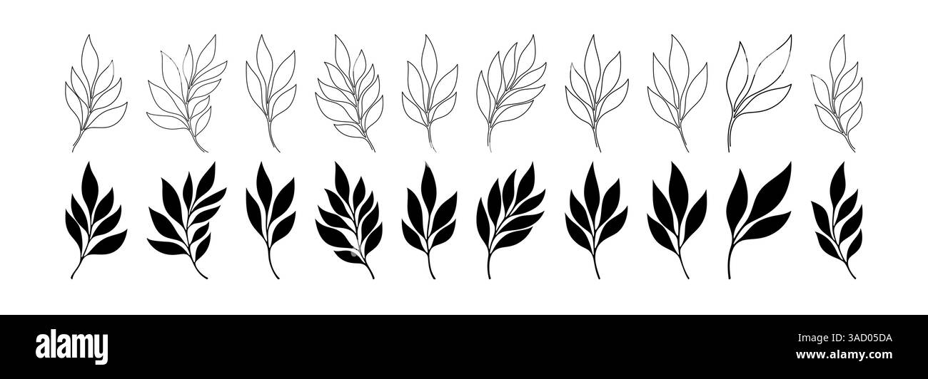 Set of Minimalistic Leaf Illustrations in Black and White Showing ...