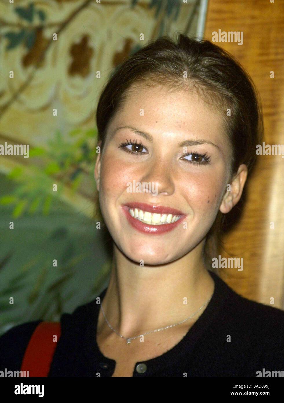 May 15, 2001; New York, NY, USA; Actor NIKKI COX 'Nikki' @ the WB ...