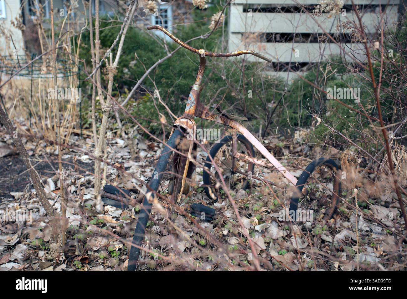 rusty kids tricycle grass derelict old used Stock Photo - Alamy