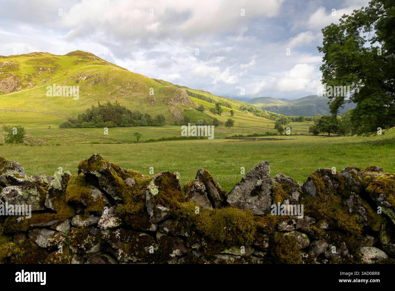 lake district peak district clouds dry stone wall fields trees tractor ...