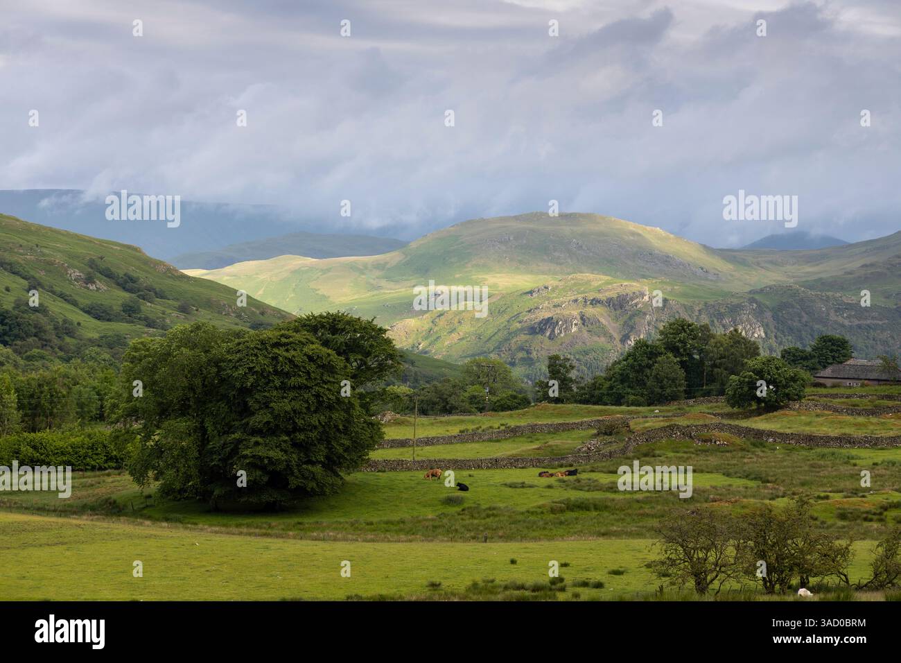 lake district peak district clouds dry stone wall fields trees tractor ...
