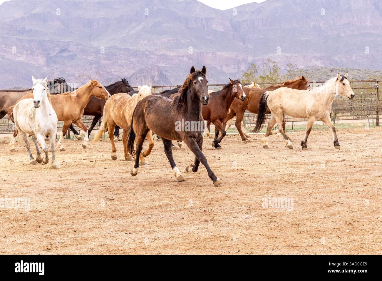 Wilson mountain arizona hi-res stock photography and images - Alamy