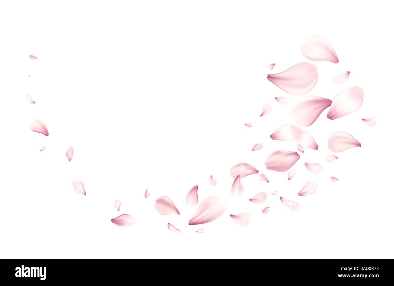 Vector Illustration of Beautiful Pink Rose Petals in a Flowing Pattern ...