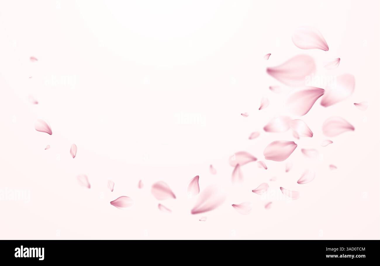 Vector Illustration of Pink Rose Petals Swirling Gracefully on a Soft ...